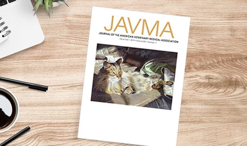 Blog - Page 4 of 4 - IndeVets