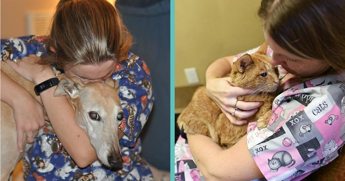 “Doc, how do I know if it’s time?” Advising pet owners on peaceful ...