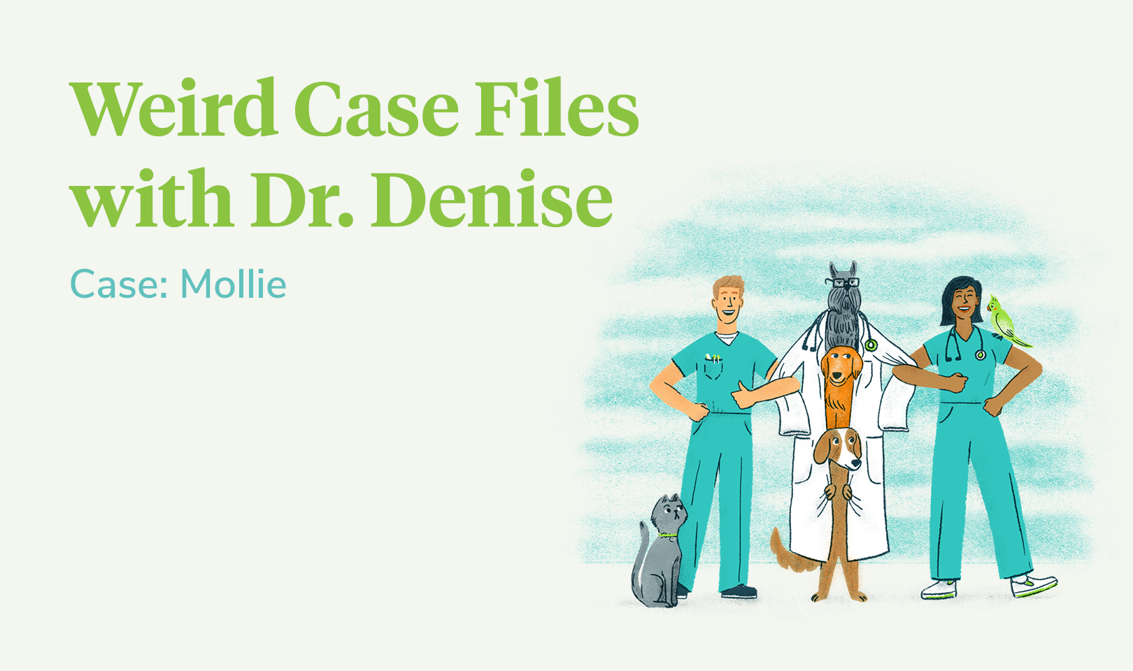 Weird Case Files with Dr. Denise: Mollie - IndeVets