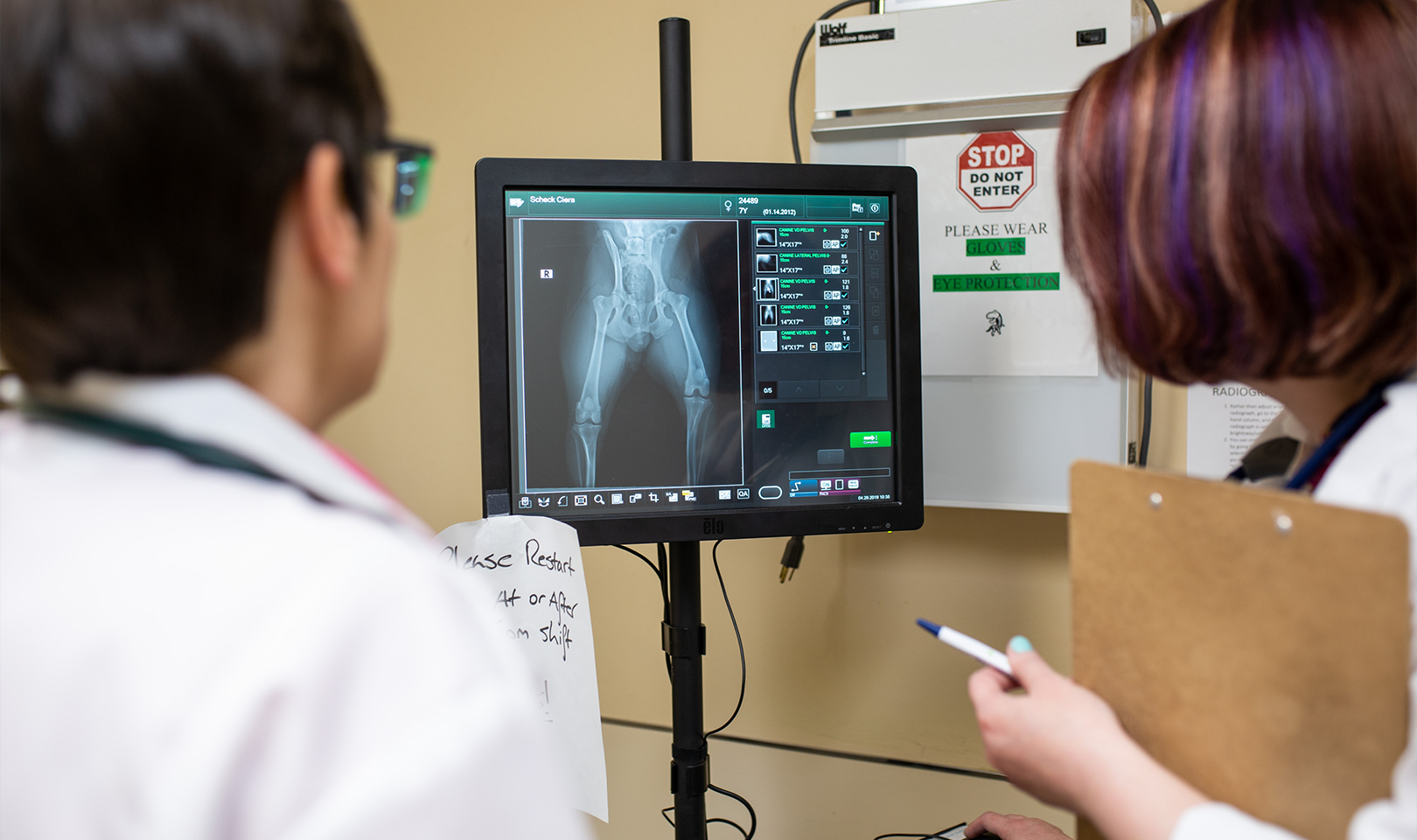 Essential tests for veterinarians: aFAST3 scan - IndeVets