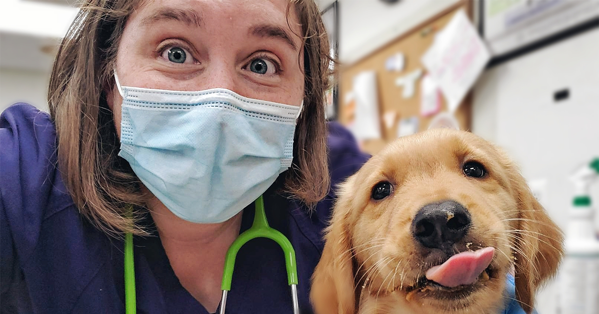 Personal Proctective Equipment for every occasion - IndeVets