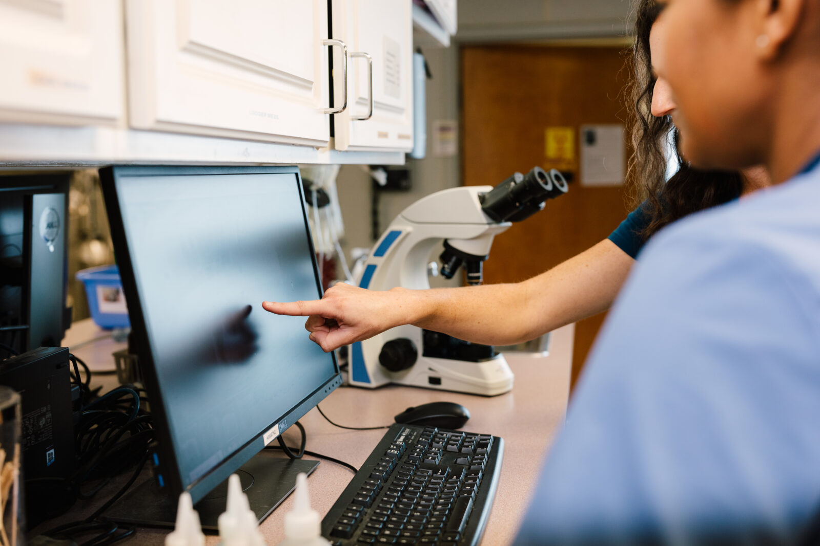 How to write a complete medical note - IndeVets