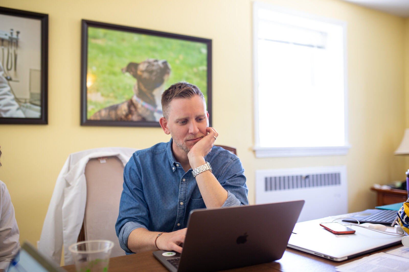 Veterinary Resume Essentials: What You Need to Know - IndeVets