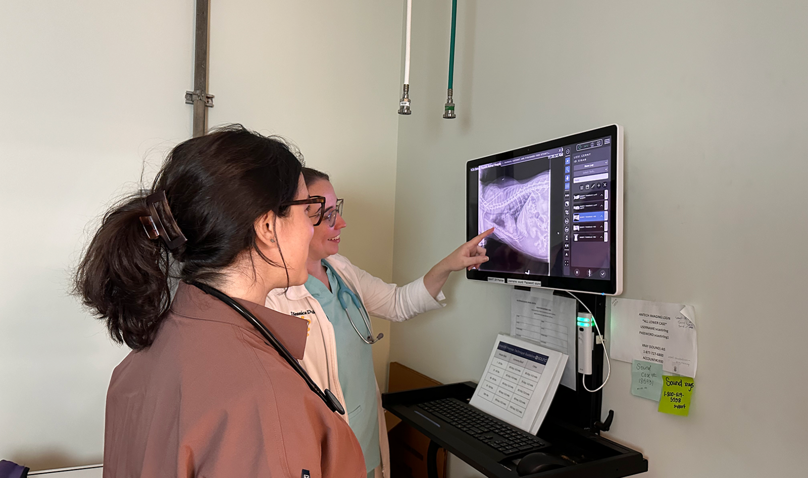 Mentee #1 - Finding her Home with IndeVets - IndeVets